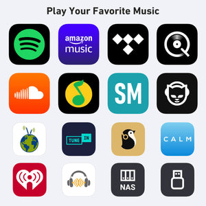 Arylic® H50 Wireless Airplay 2 Amplifier & Alexa Amplifier