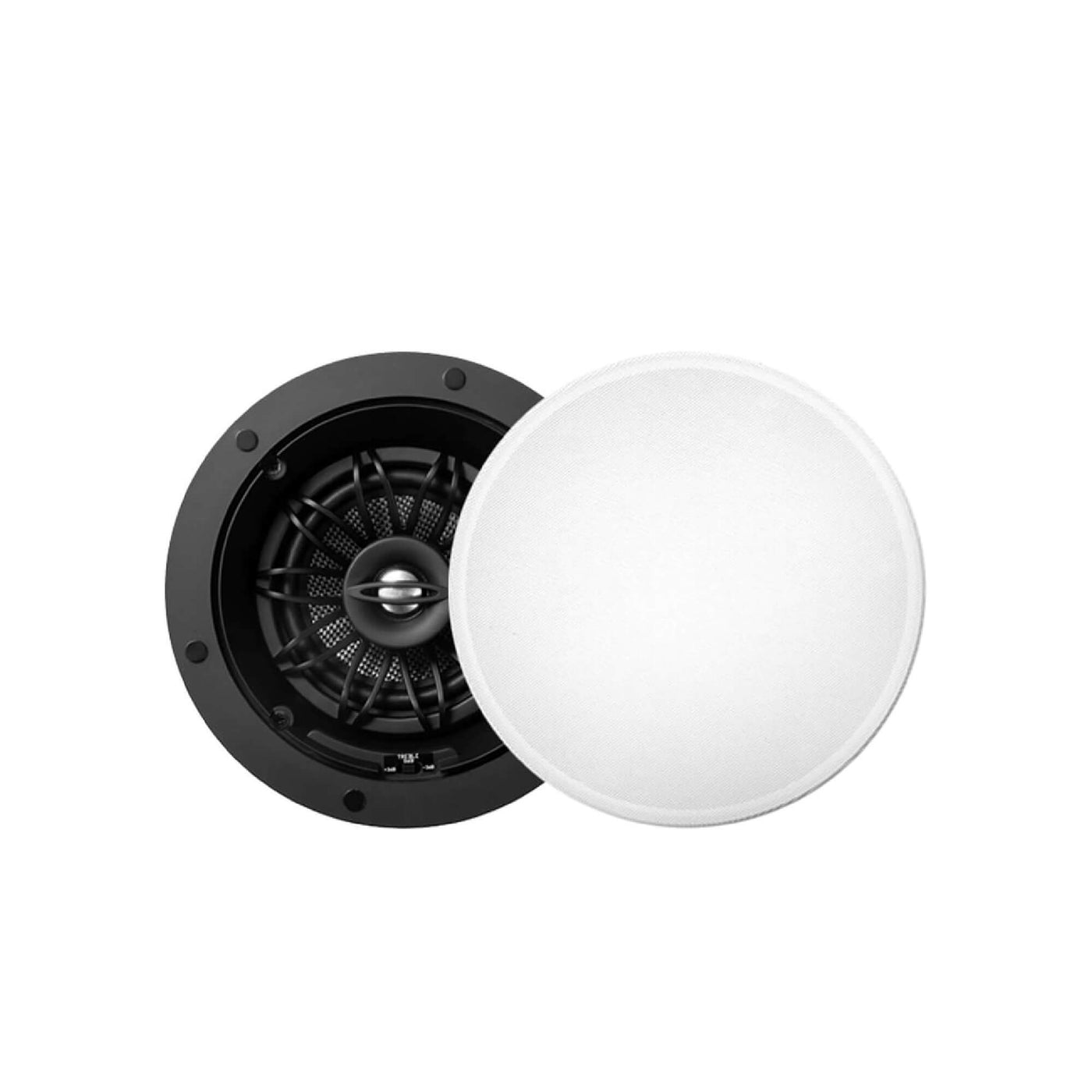 In Ceiling Speakers with Pivoting and Rotating Woofer-Arylic.com